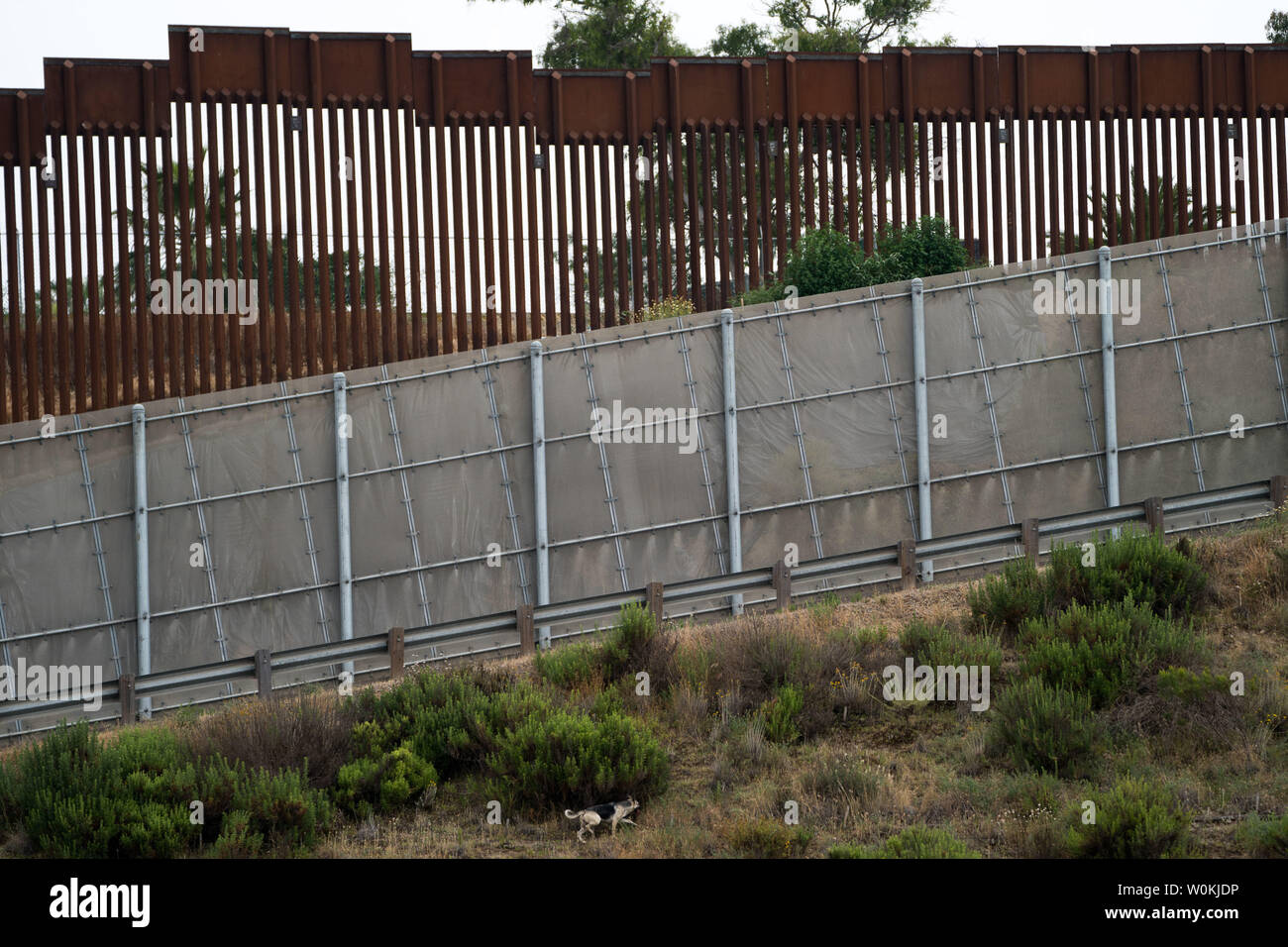 Dog at mexican border fence hi-res stock photography and images - Alamy