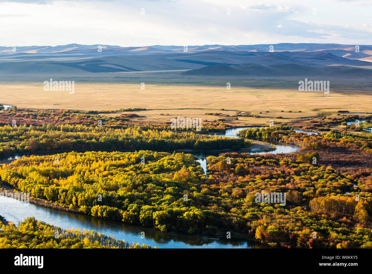 Erguna Wetland is known as the largest wetland in Asia, a golden and ...