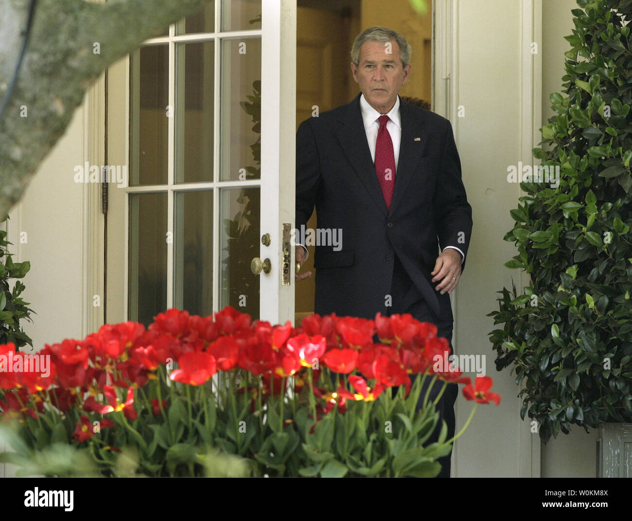 David bush hi-res stock photography and images - Alamy