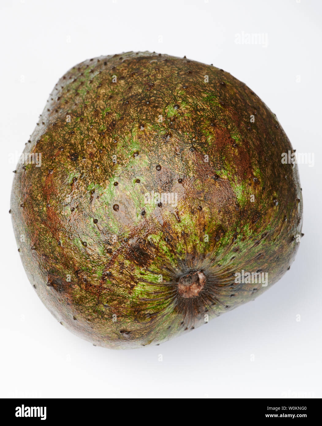 Fresh soursop fruit isolated on white studio background Stock Photo - Alamy