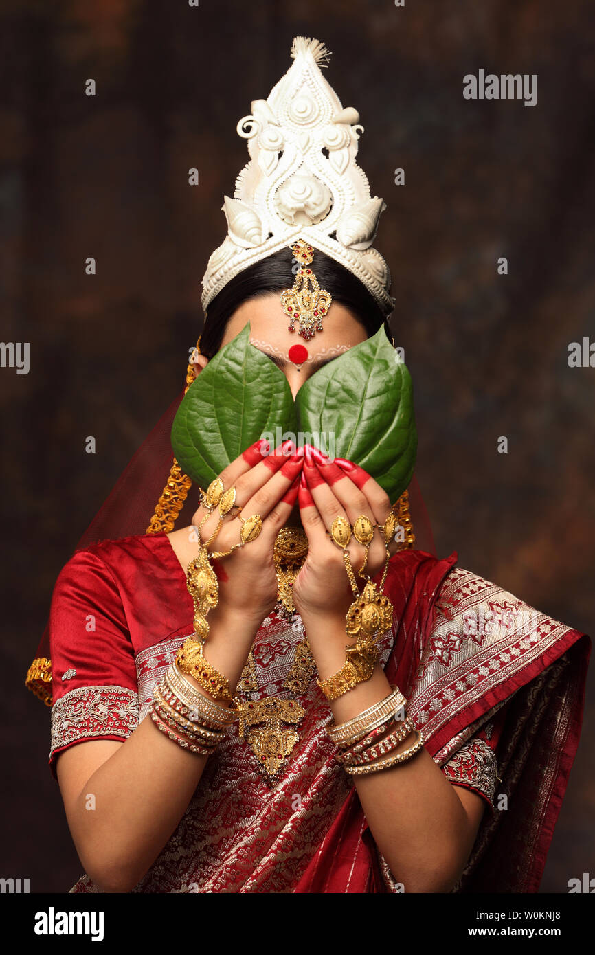 Beautiful indian woman hiding face hi-res stock photography and images ...