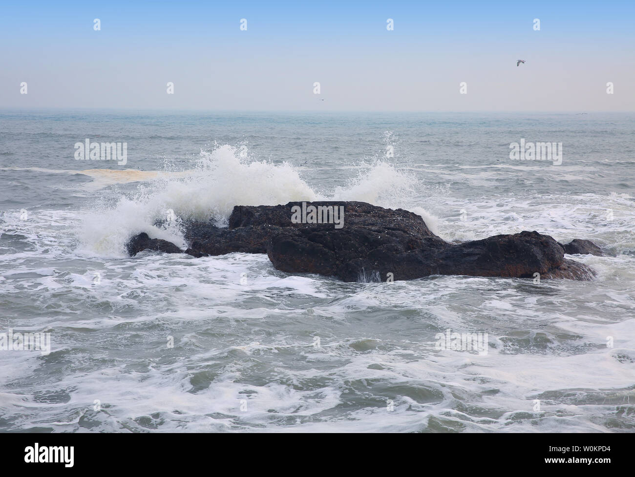 A group of pictures of the soul of the sea Stock Photo - Alamy