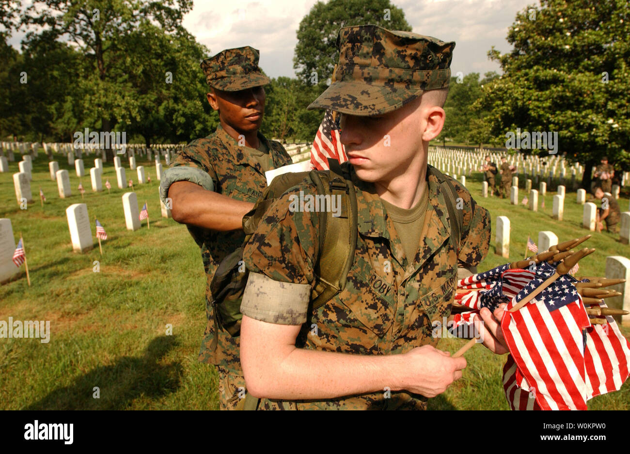 U.S. Marines place flags in front of each of the 290,000 grave markers ...