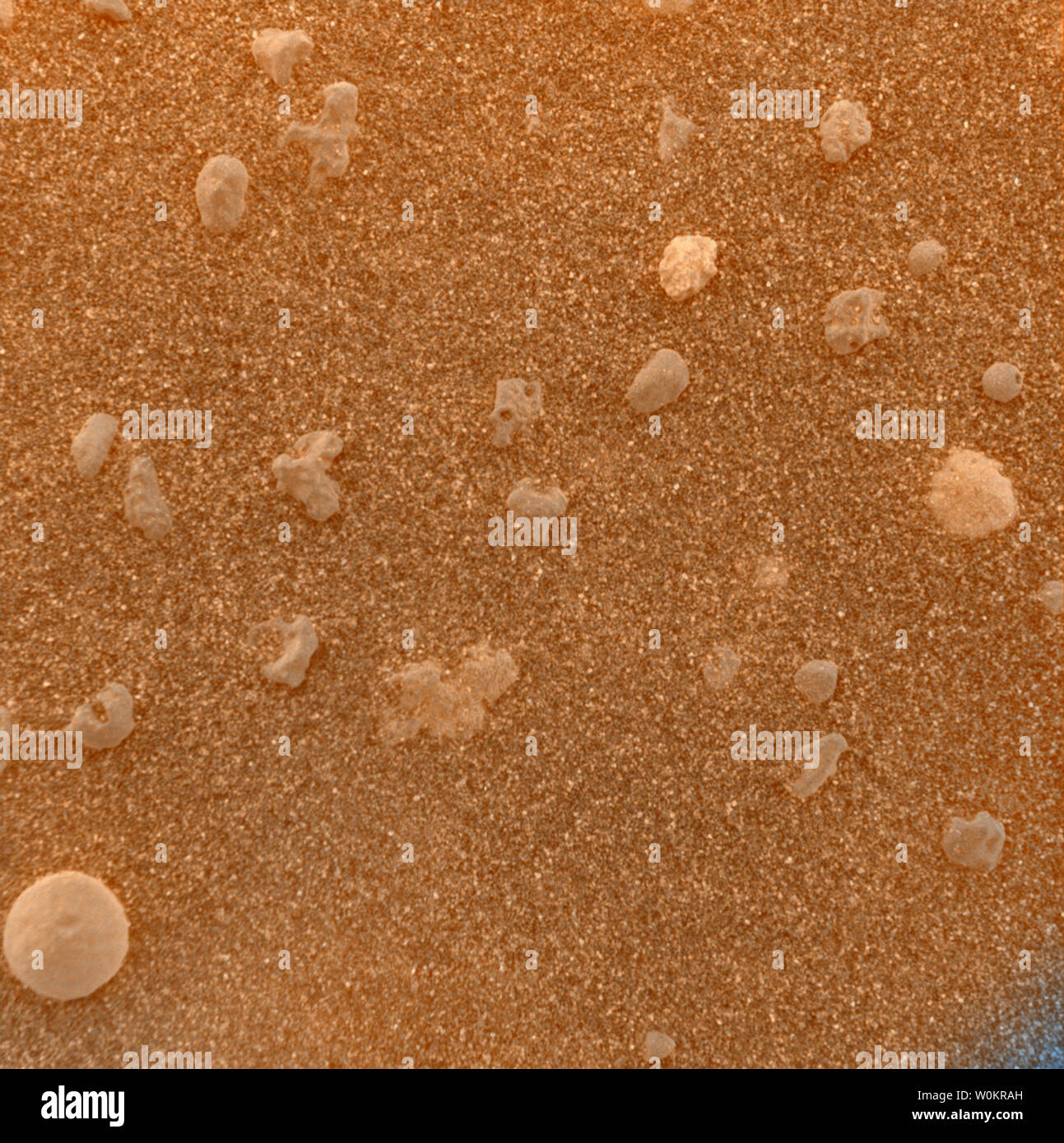 Microscopic sand grains hi-res stock photography and images - Alamy