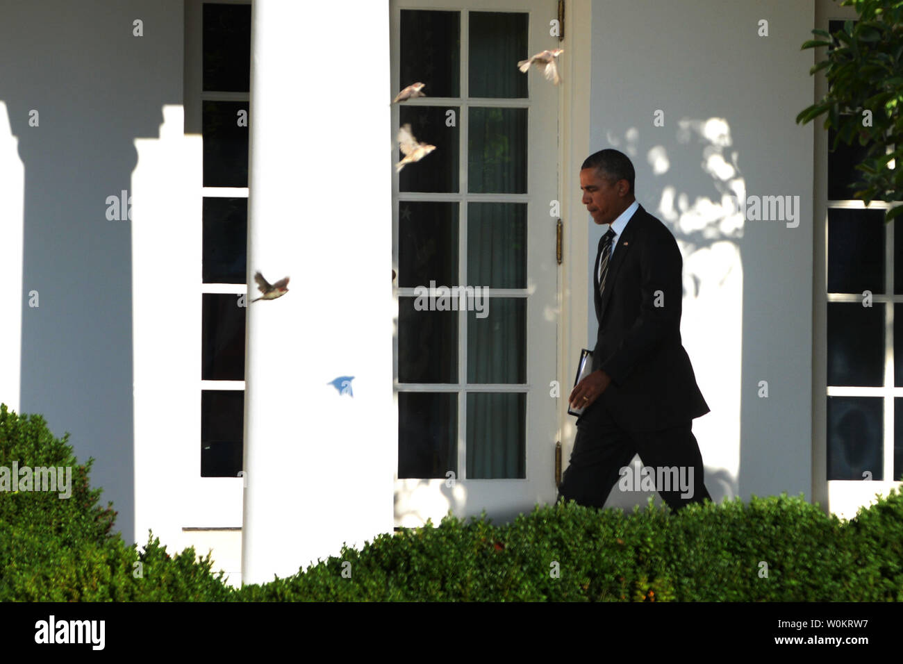 Birds fly from the Rose Garden as U.S. President Barack Obama walks ...
