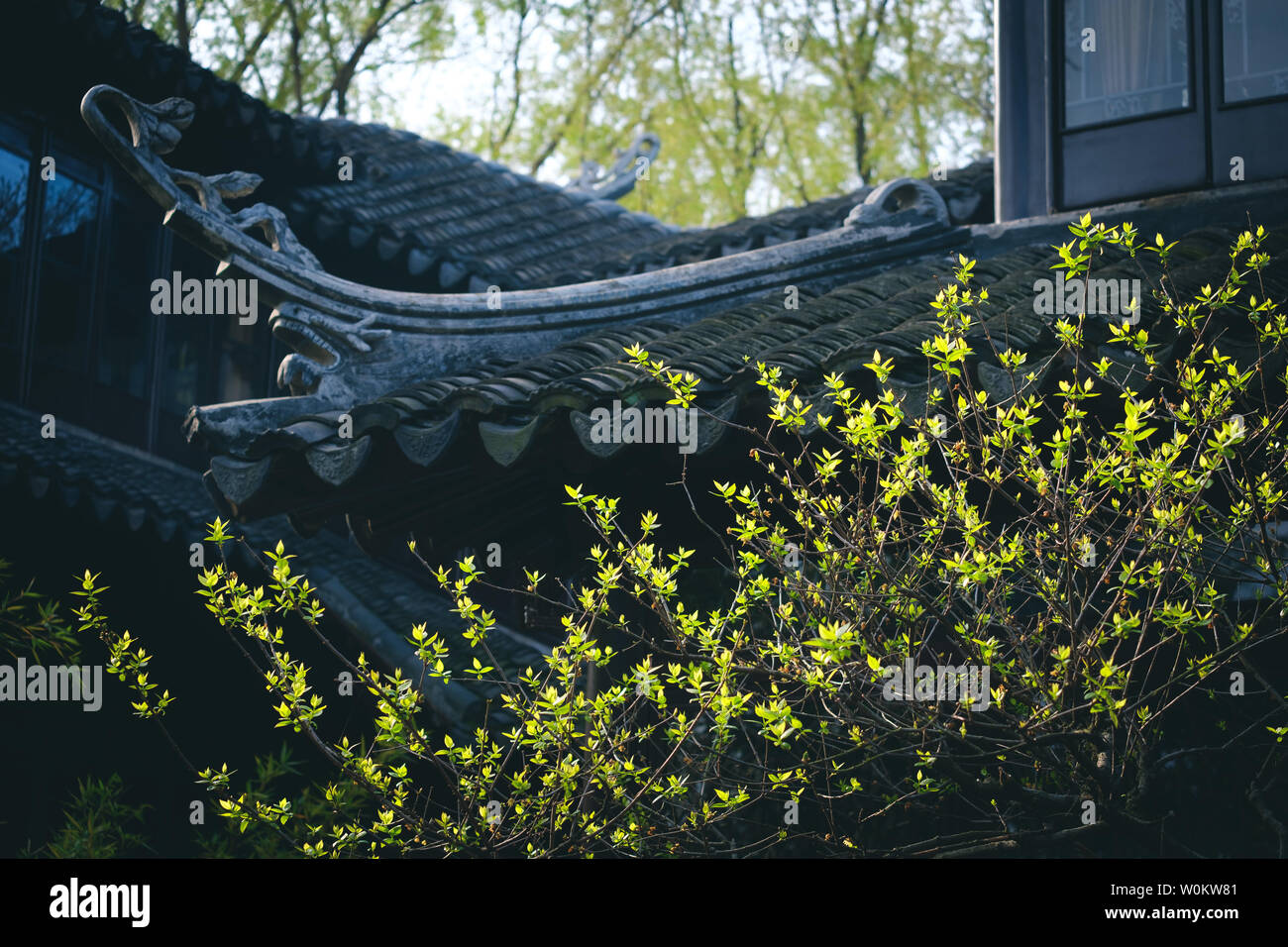 Spring in the gardens of Suzhou Stock Photo - Alamy