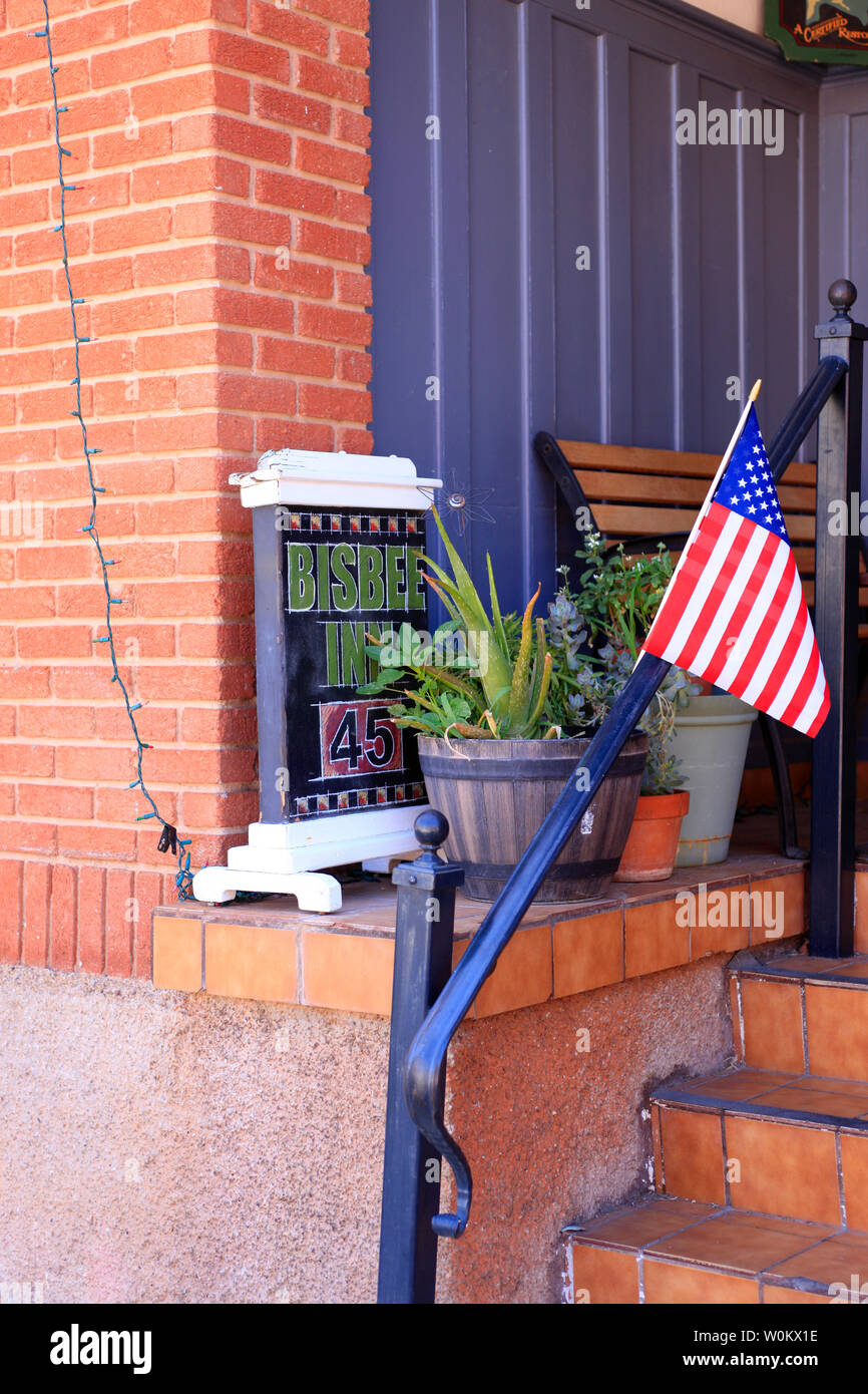 American Flag on the doorstep of a building with an aloe vera plant and ...