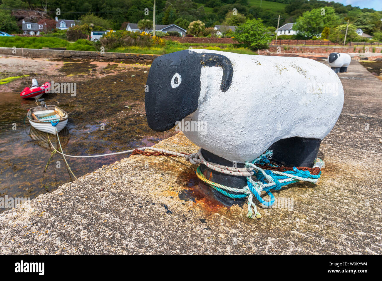 Cartoon farm sheep lamb hi-res stock photography and images - Alamy