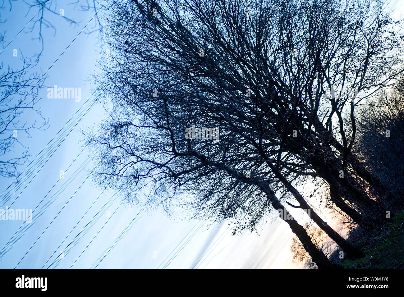 Diagonal wood beam hi-res stock photography and images - Alamy