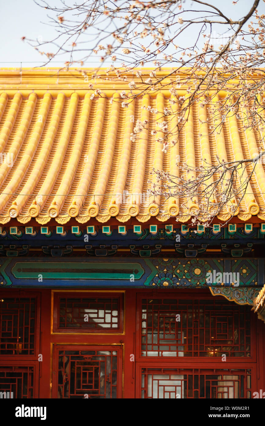 Spring Palace Museum Stock Photo - Alamy