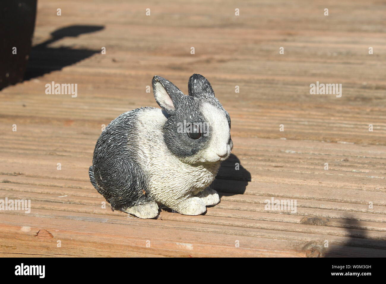 Small rabbit hi-res stock photography and images - Alamy