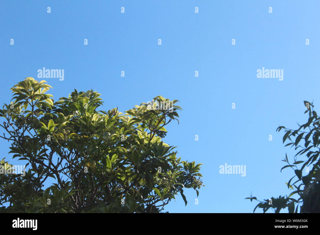 Sunny weather clear sky hi-res stock photography and images - Alamy