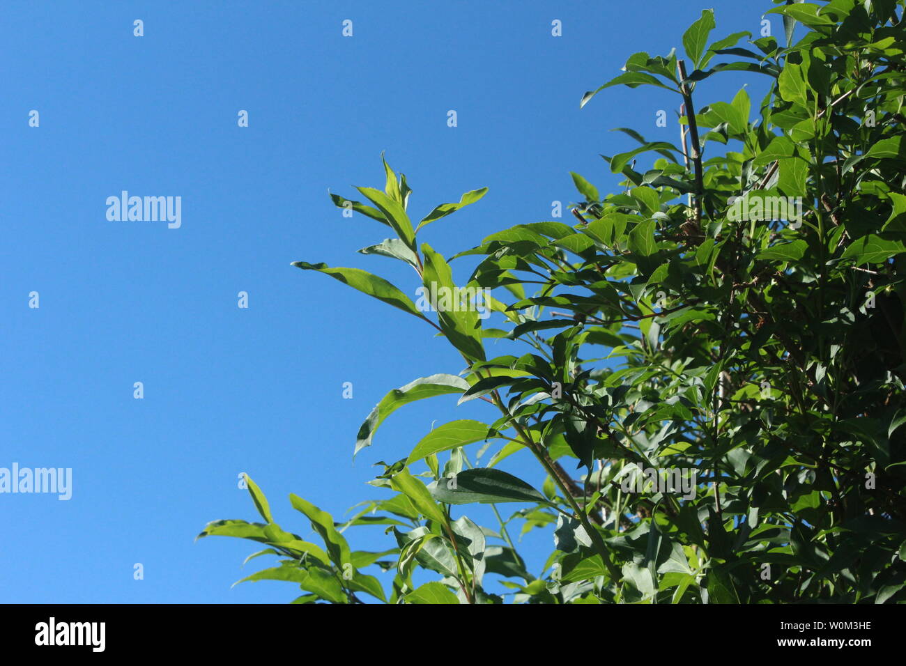Sunny weather clear sky hi-res stock photography and images - Alamy