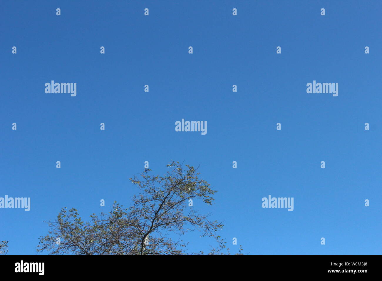 Sunny weather clear sky hi-res stock photography and images - Alamy