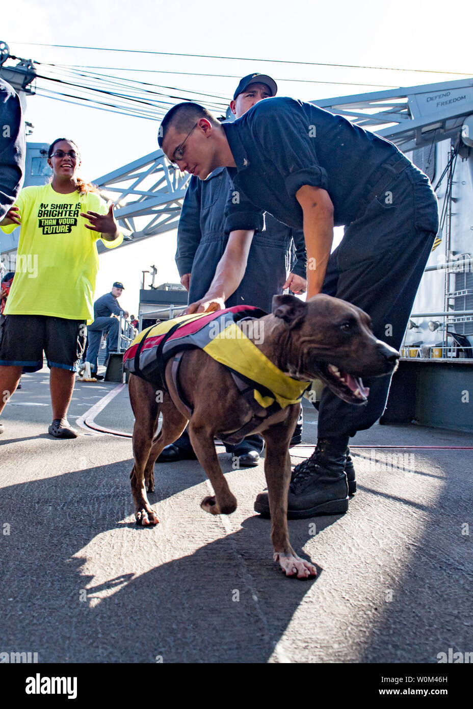 A Sailor greets Zeus the dog with his owner Tasha Fuiaba, left, on the ...