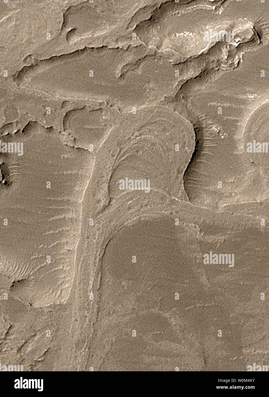 The Mars Global Surveyor (MGS) shows in this image (MOC2-543d) a ...
