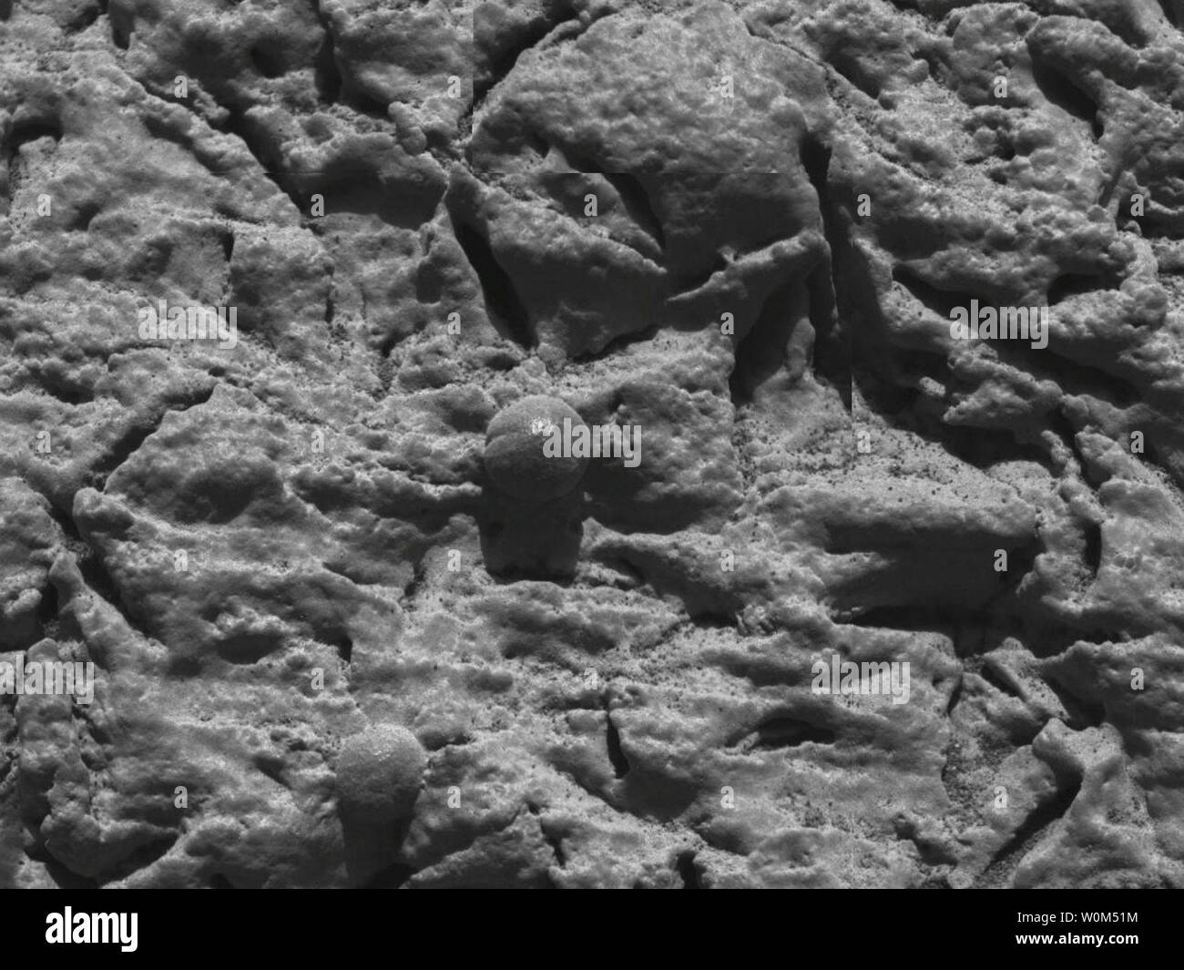 Microscopic sized hi-res stock photography and images - Alamy