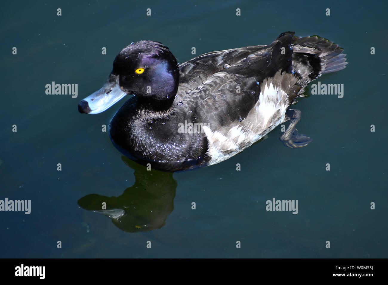 Smartertravel hi-res stock photography and images - Alamy