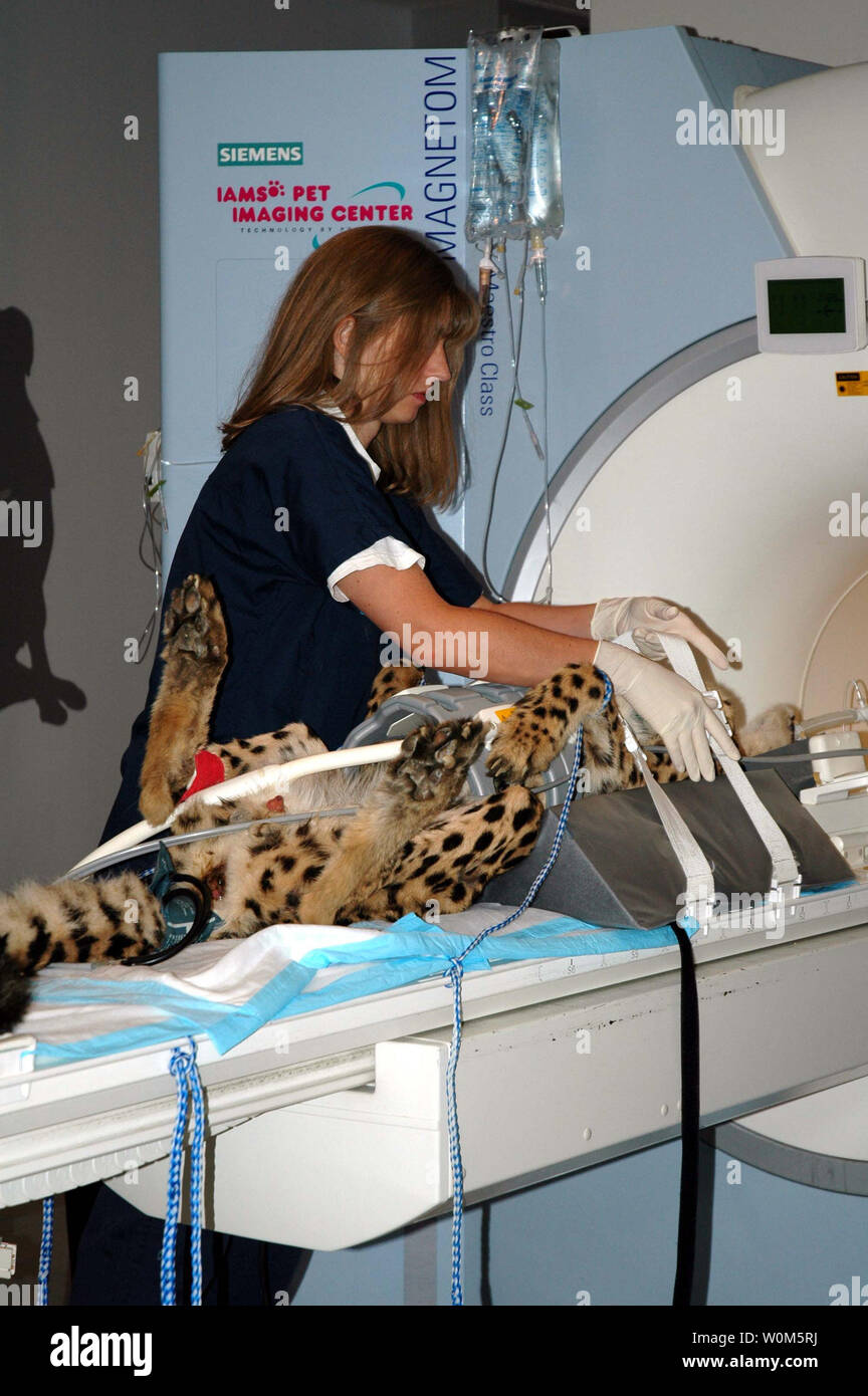 First mri hi-res stock photography and images - Alamy