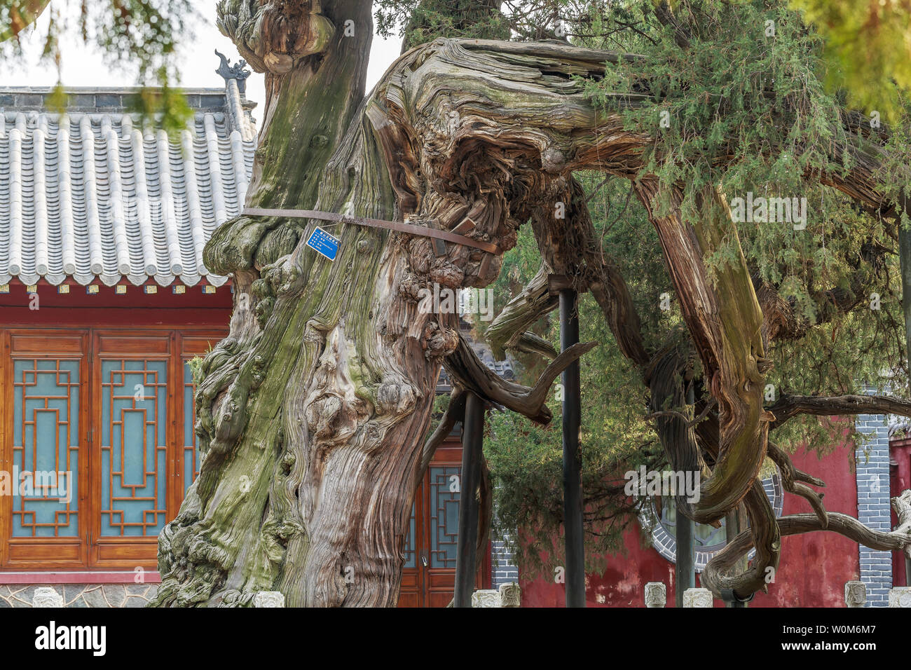 Dai temple in china taishan hi-res stock photography and images - Alamy