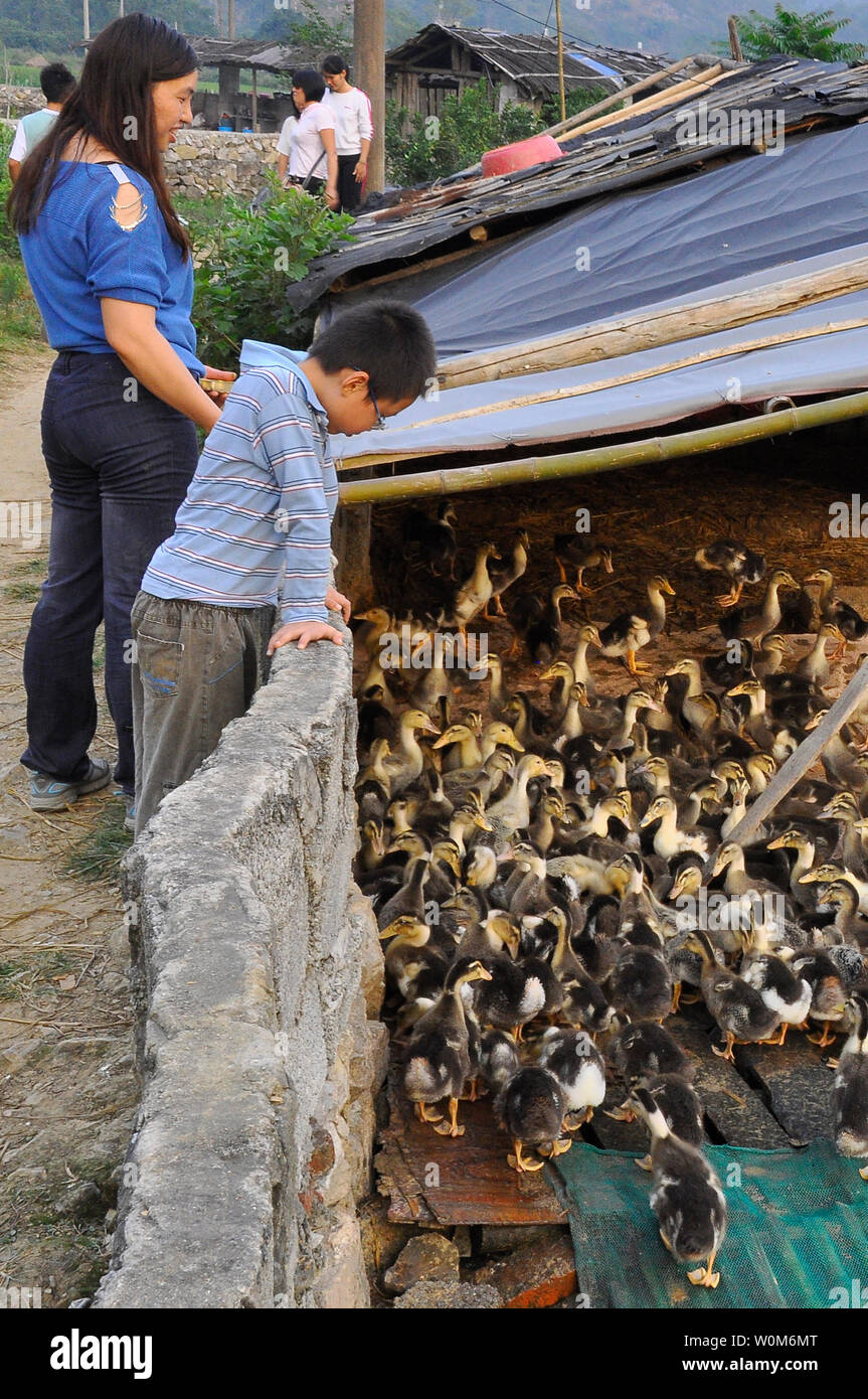 Mother and boy look at ducks at Guilin farm, China Stock Photo - Alamy