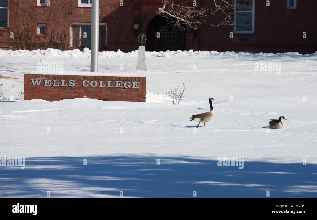 Wells college aurora hi-res stock photography and images - Alamy