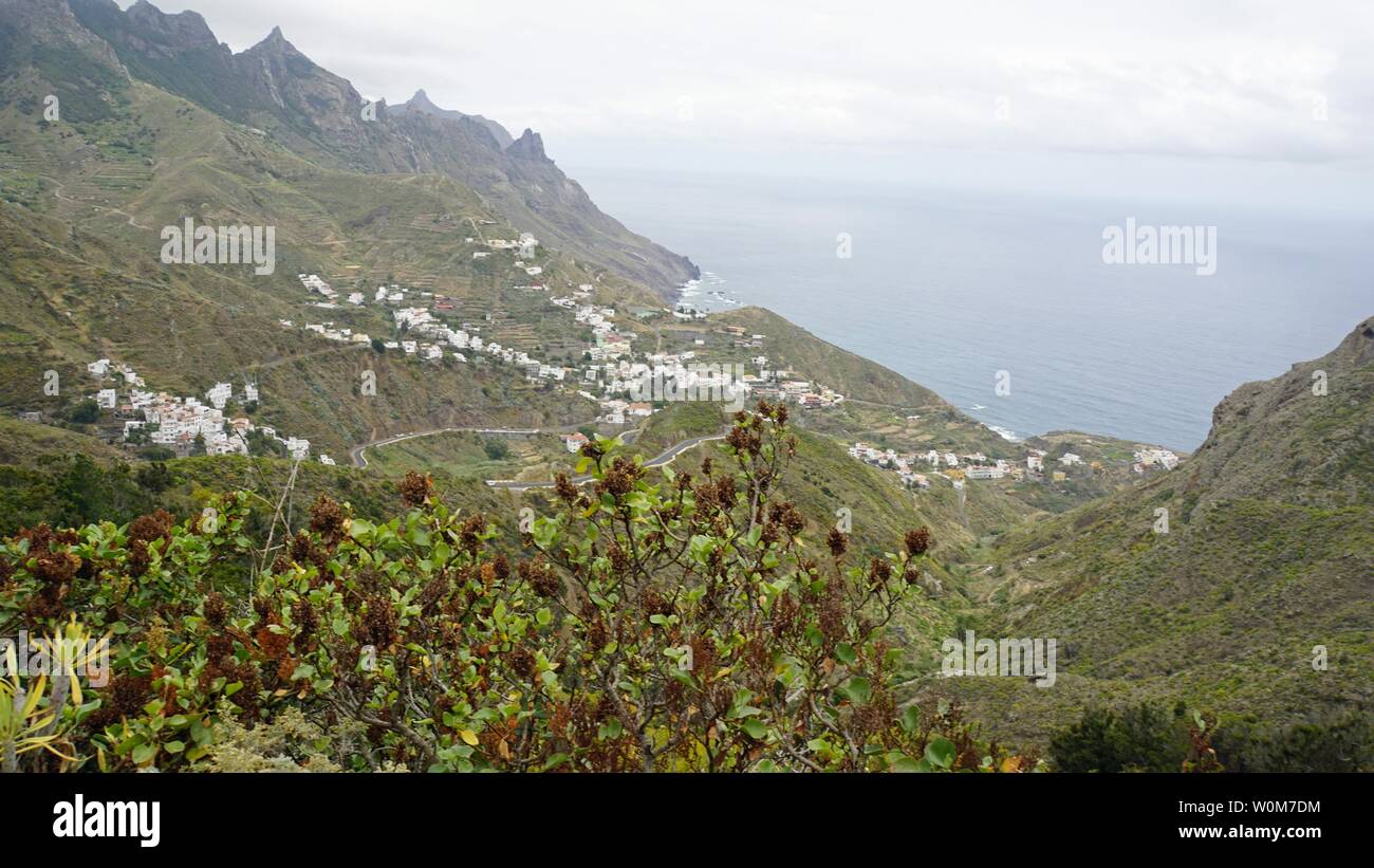 exotic landscape in anaga mountains on tenerife island Stock Photo - Alamy