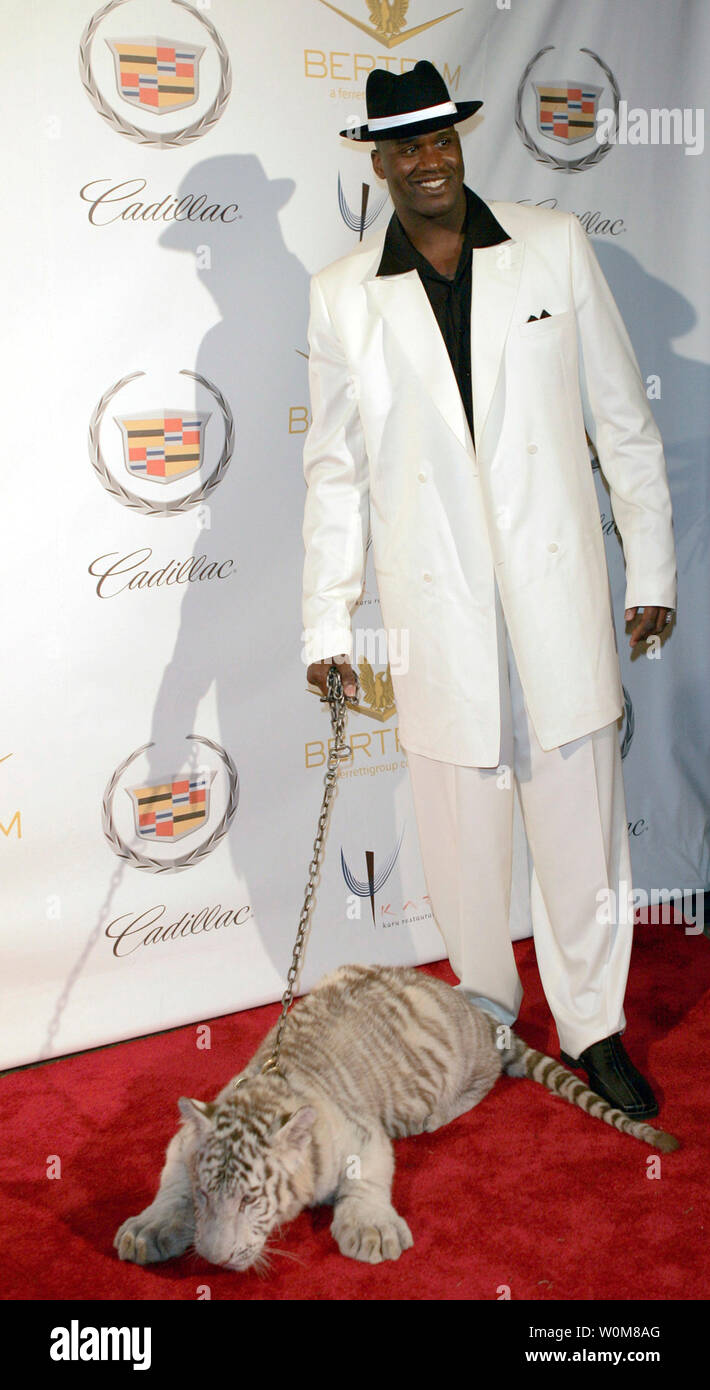 Miami Heat basketball star Shaquille O'Neal walks the red carpet with a ...