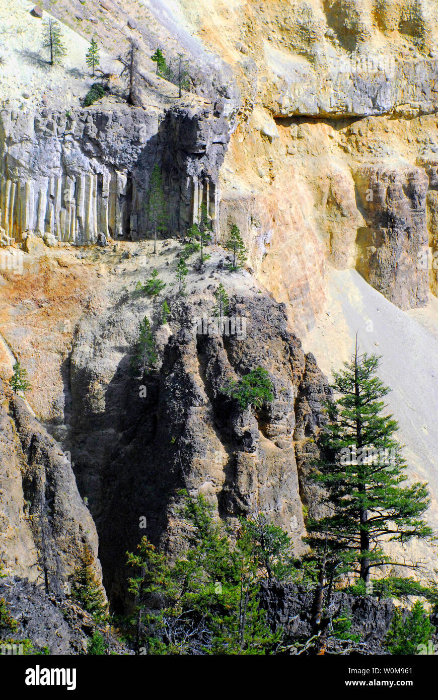 Amazing Yellowstone National Park. A vertical image of the magnificent ...
