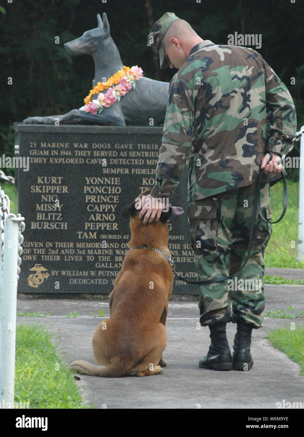 Dog cemetery hi-res stock photography and images - Alamy