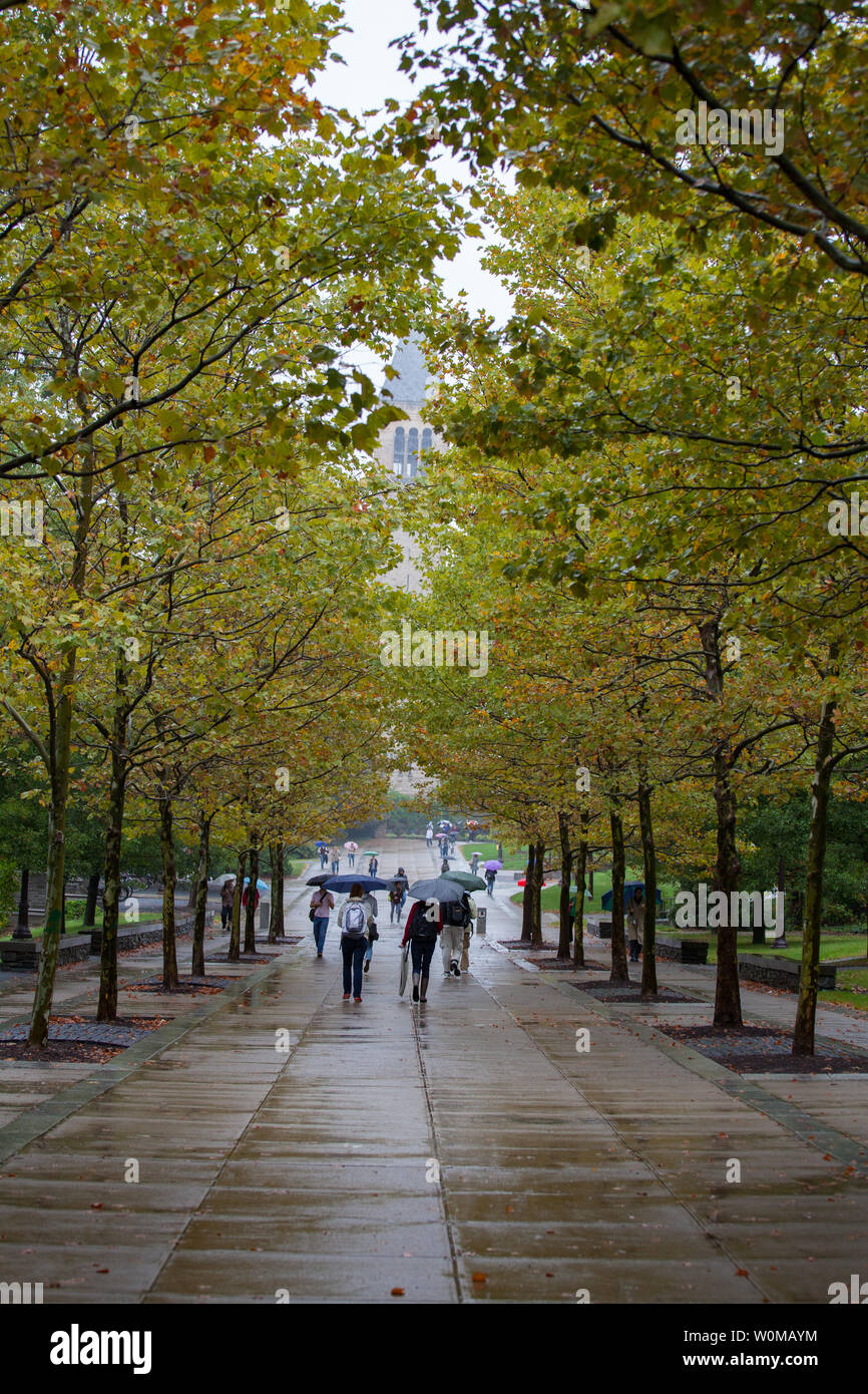 Cornell students hi-res stock photography and images - Alamy