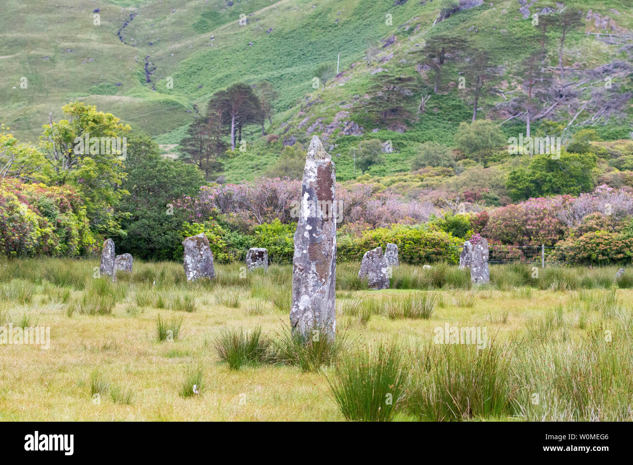 Lochbuie stone circle on the Isle of Mull Stock Photo - Alamy