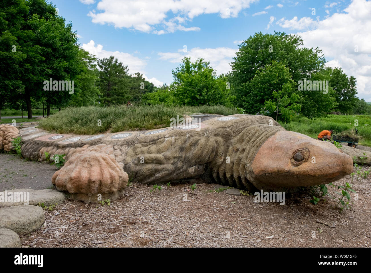 Giant concrete turtle is the centerpiece of the Ithaca Children's ...