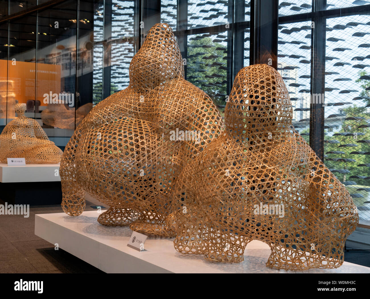 Chinese academy hi-res stock photography and images - Alamy