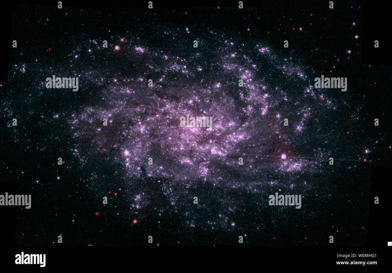 This undated NASA image shows the Triangulum Galaxy which is located ...
