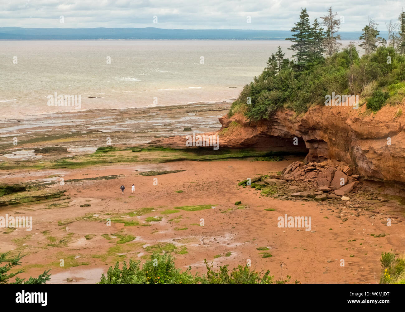 Burnt Coat park on Nova Scotia's Bay of Fundy, home of the greatest ...