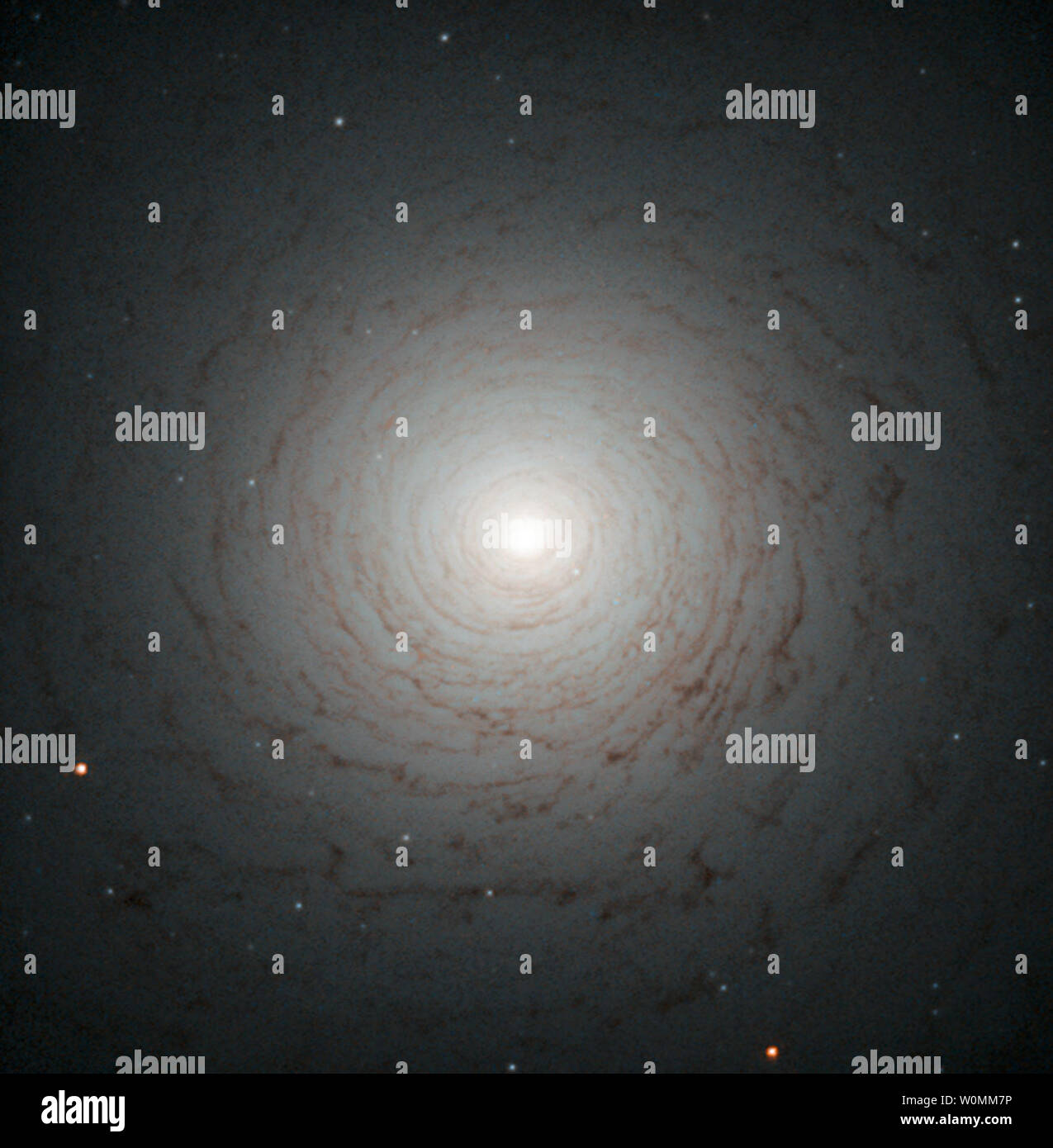 Pisces constellation hi-res stock photography and images - Alamy