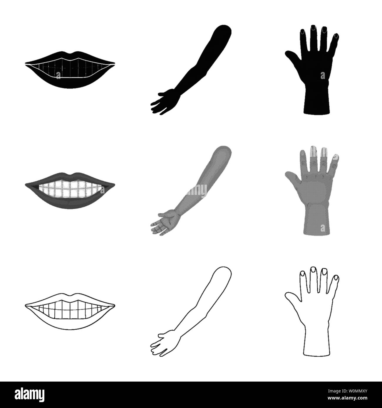 Isolated object of body and part icon. Collection of body and anatomy ...