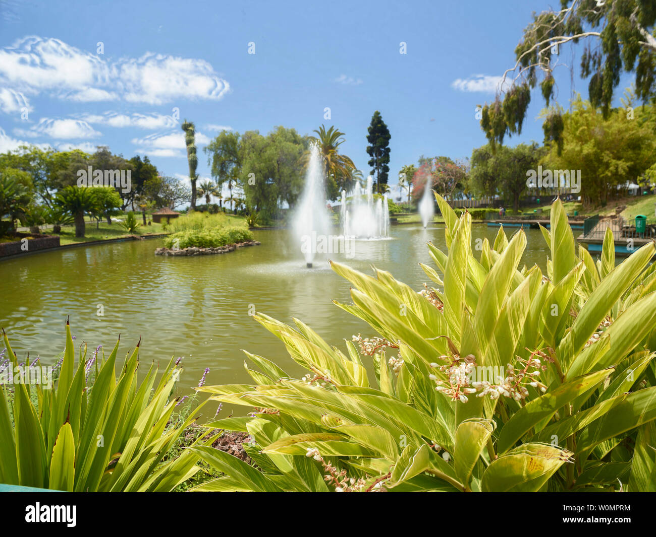 Avenida do infante funchal madeira hi-res stock photography and images ...