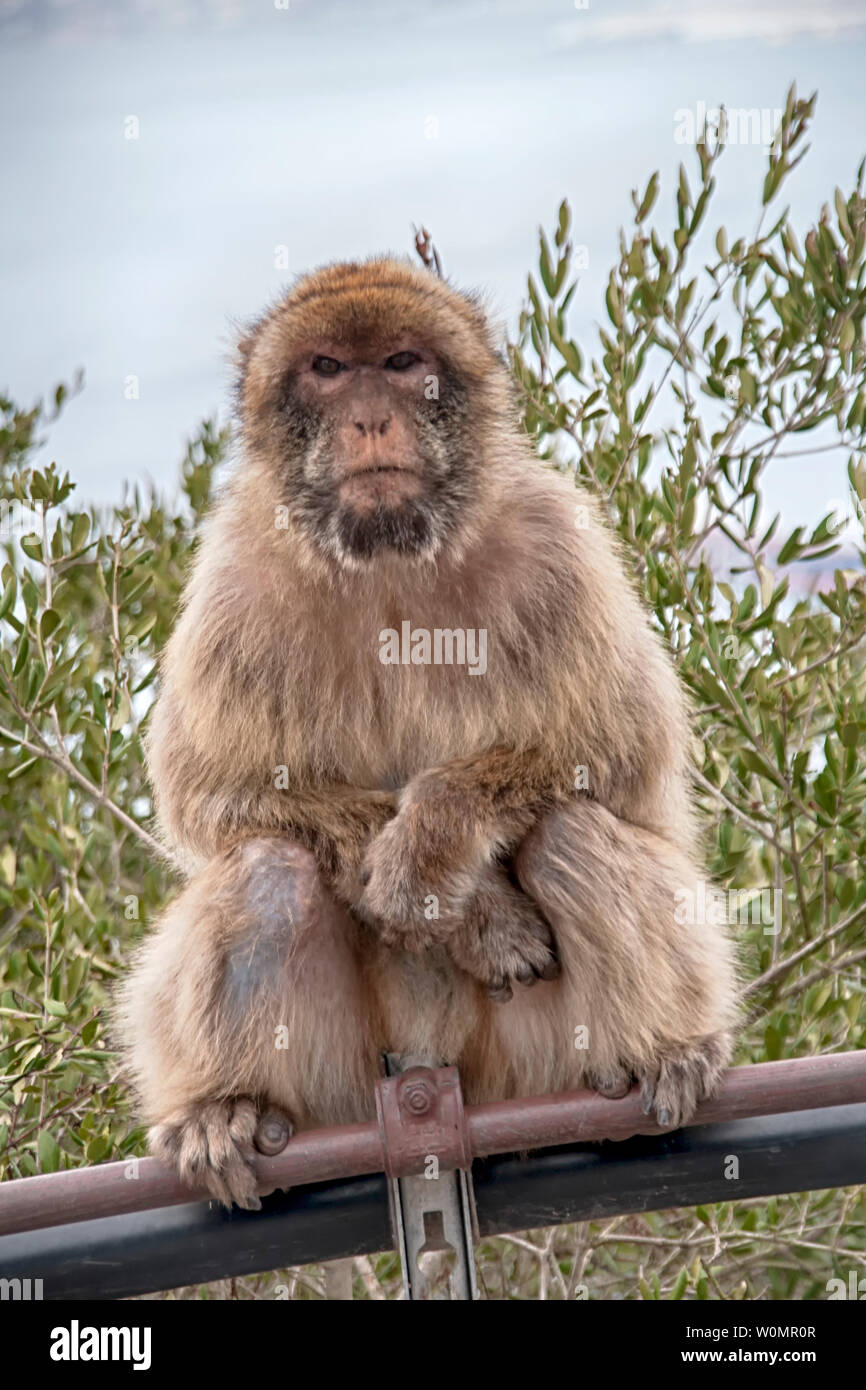 Being relaxed hi-res stock photography and images - Alamy