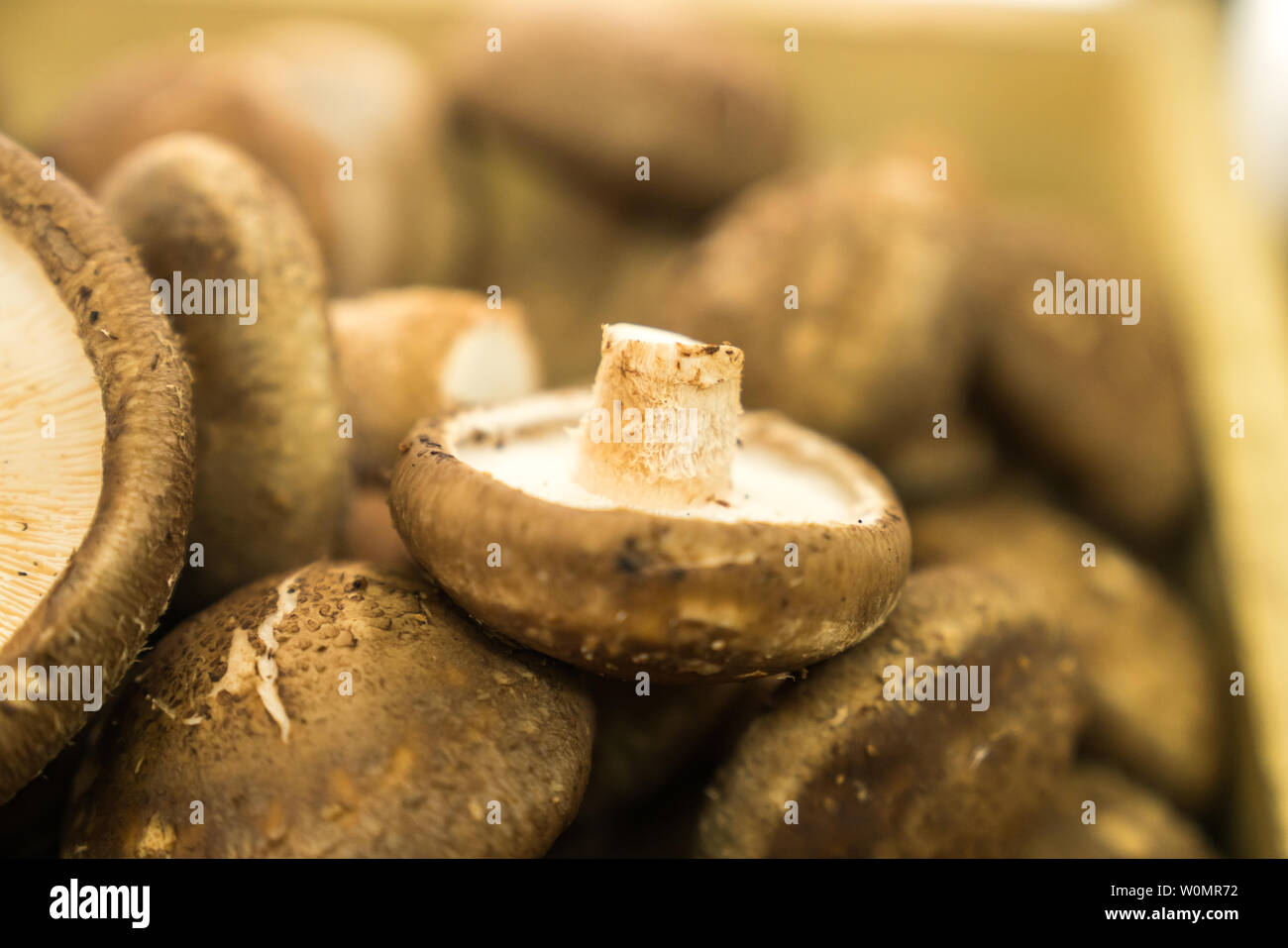A bunch of fresh shiitake mushrooms Stock Photo - Alamy