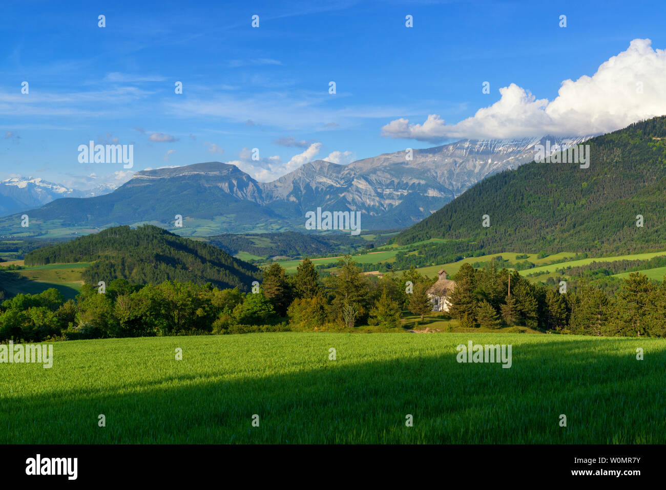 Fresh green meadow, little church and mountains. French rural evening ...