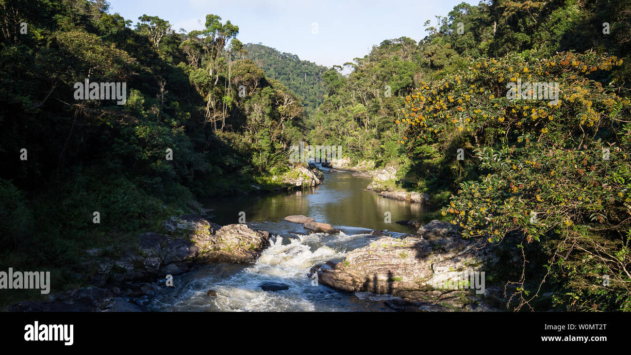 ranomafana national park madagascar Stock Photo - Alamy