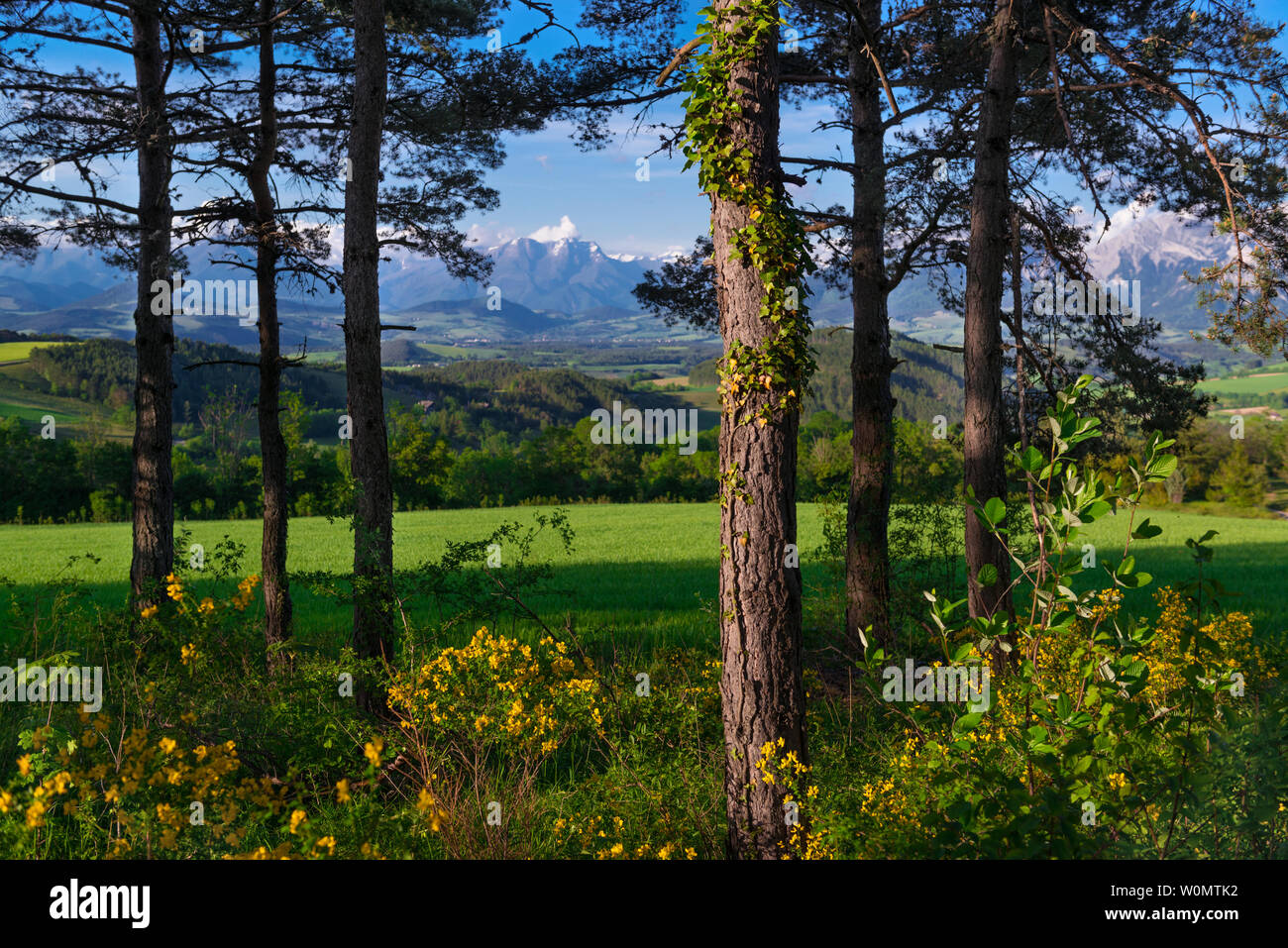 Provence hiking flowers hi-res stock photography and images - Alamy