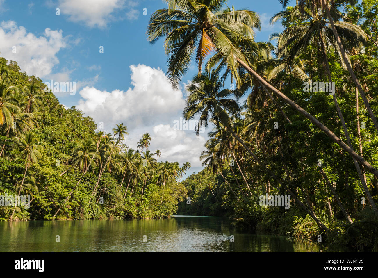 Amazing view of Loboc river from a boat. Palm trees and blue sky Stock ...