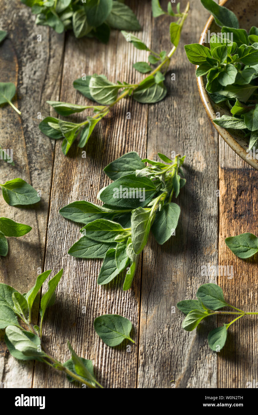 Oregano sprigs hi-res stock photography and images - Alamy