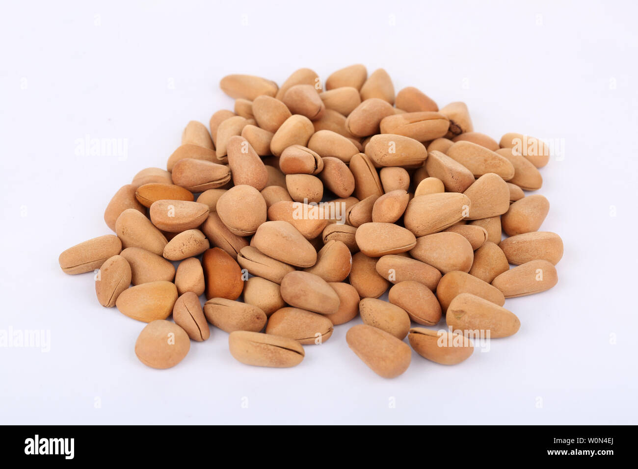 northern pine nuts Stock Photo - Alamy