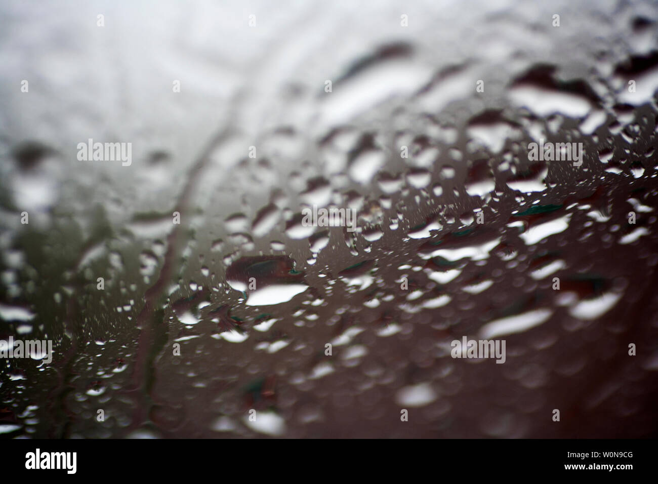 Gray rain drops on window macro background fine art in high quality ...