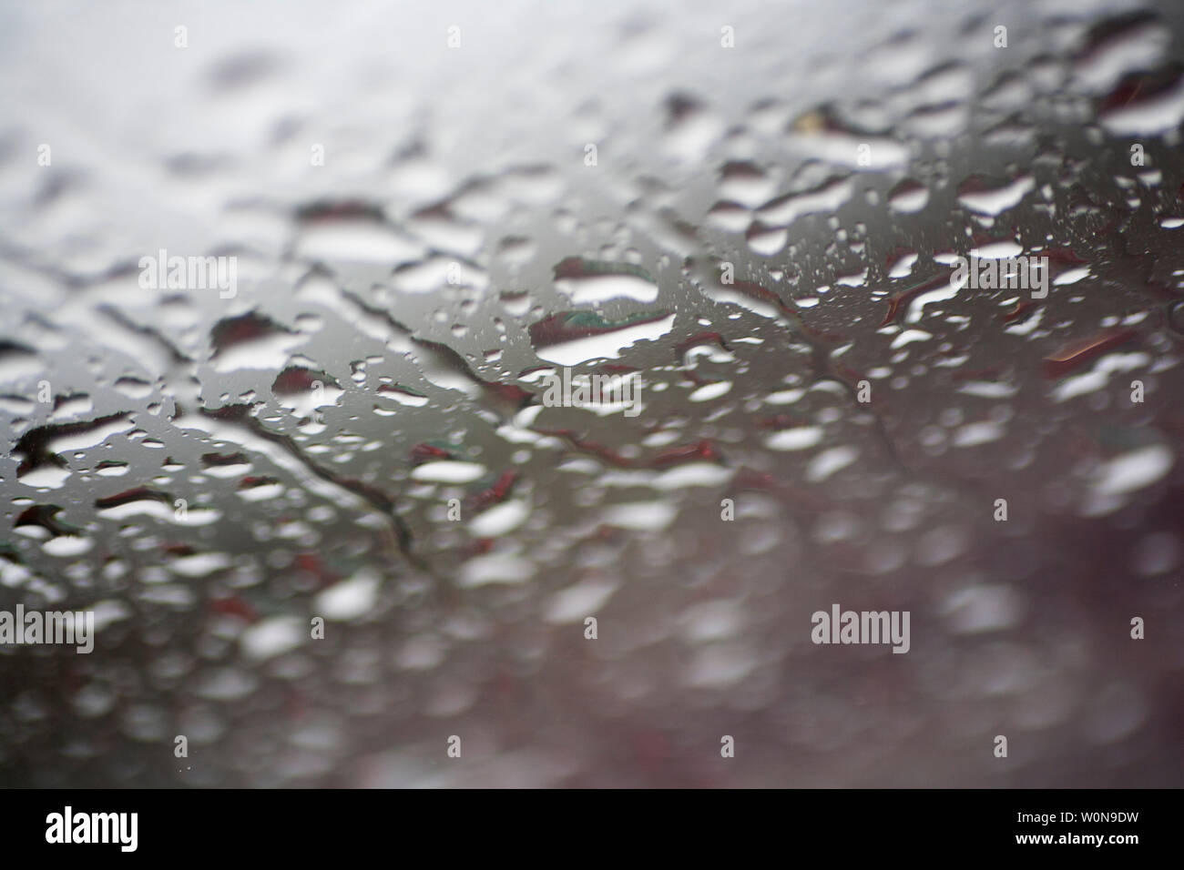 Gray rain drops on window macro background fine art in high quality ...