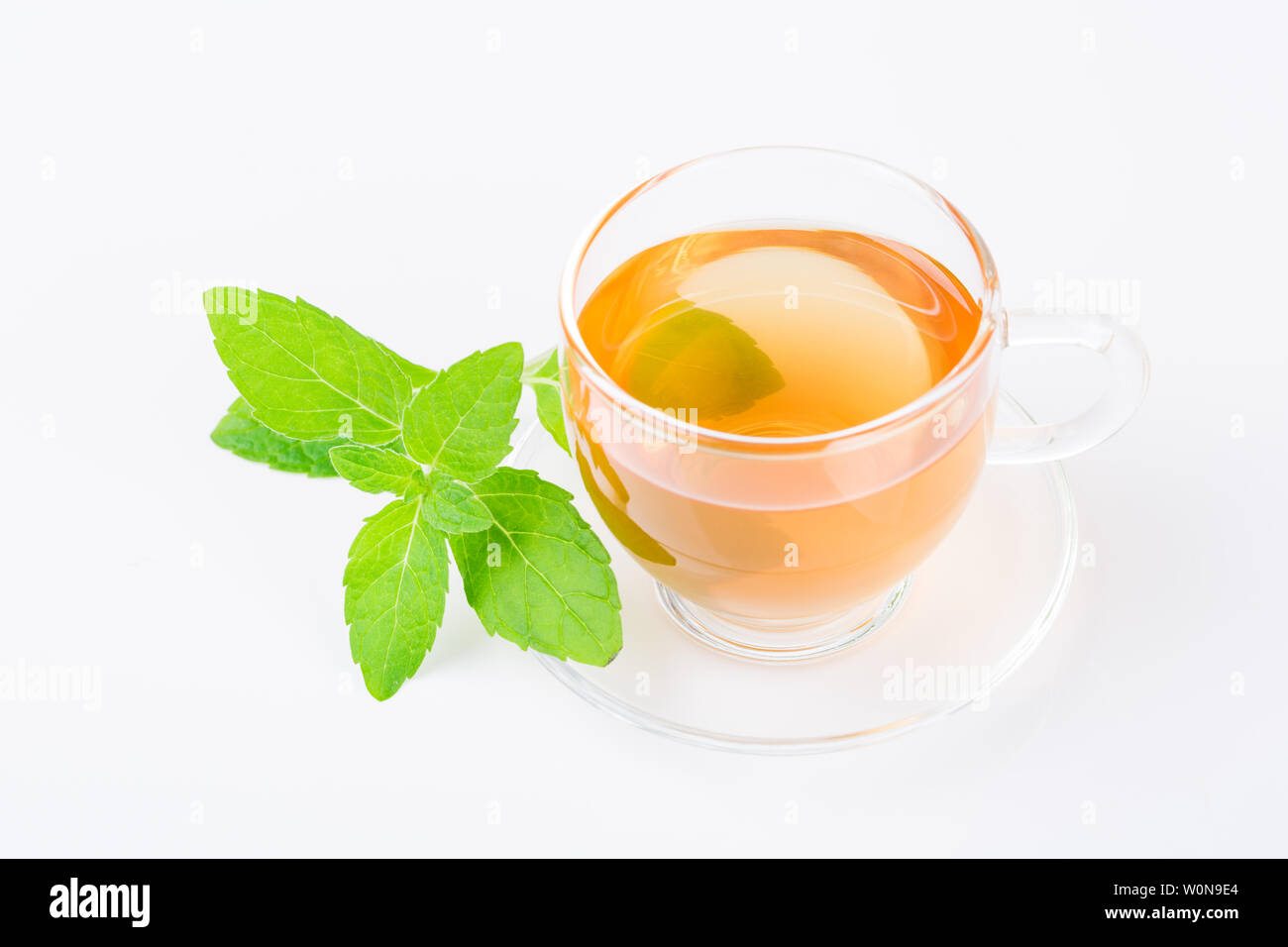 Peppermint tea and fresh peppermint leaves on white background Stock ...